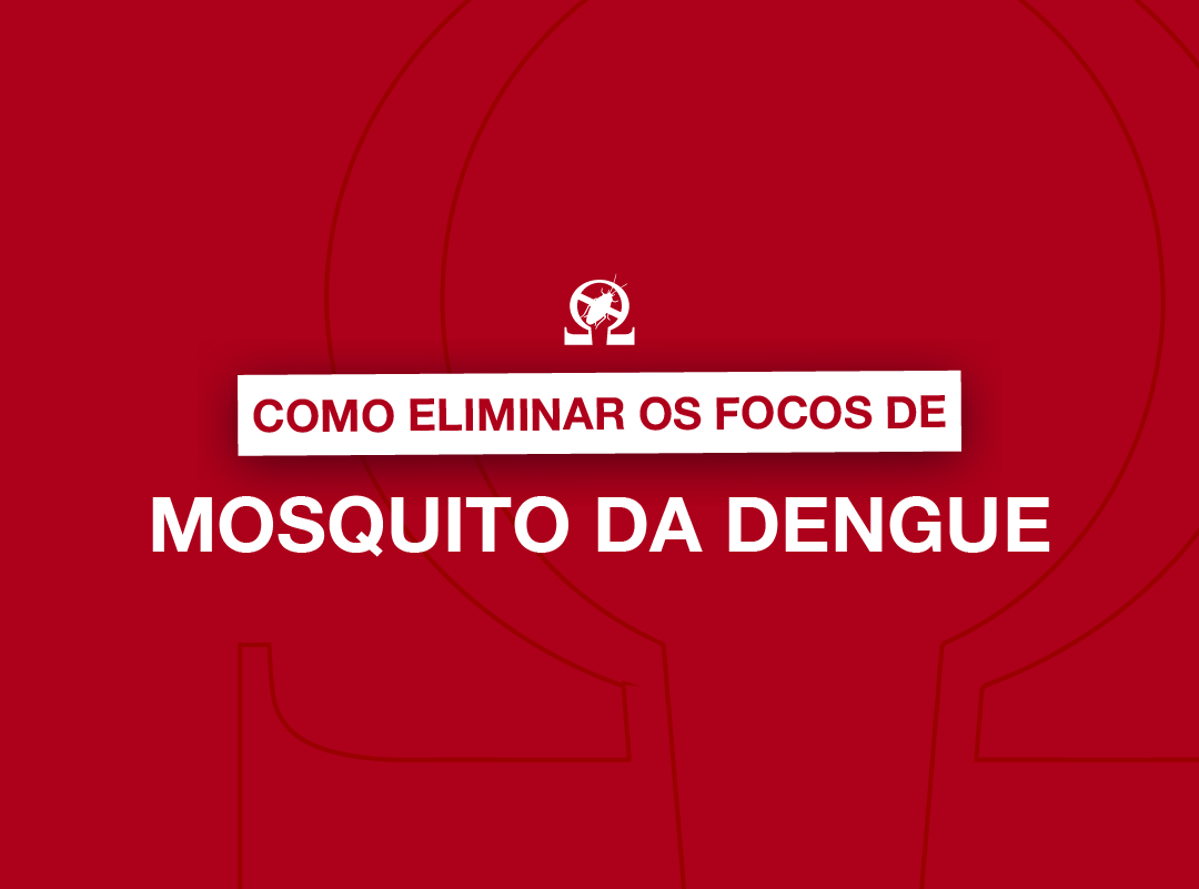 Como eliminar os focos de mosquito da dengue? - Omega Dedetização